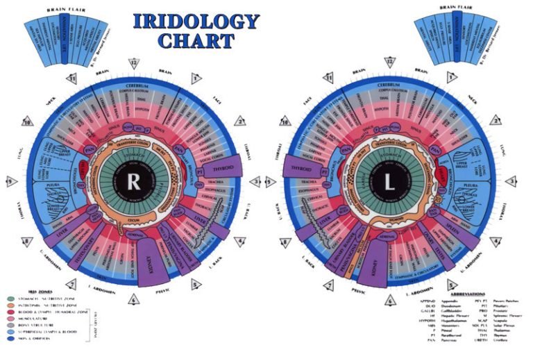 What Is An Iridology Chart? – Maikong Iridology Pictures And Meanings