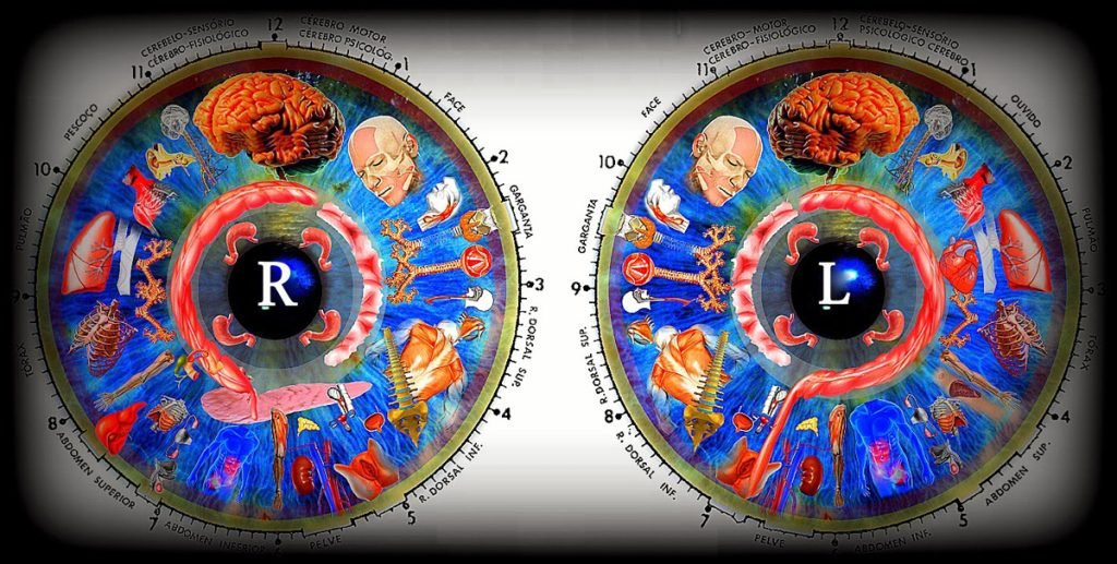 What Is An Iridology Chart? – Maikong Iridology Pictures And Meanings